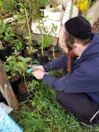 Gallery – Central Rabbinical Congress – CRC Kosher