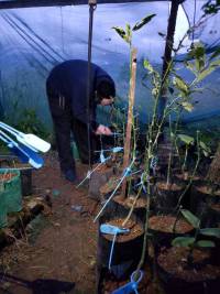 Gallery – Central Rabbinical Congress – CRC Kosher