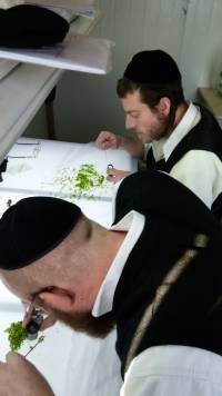 Gallery – Central Rabbinical Congress – CRC Kosher