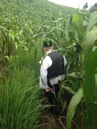 Gallery – Central Rabbinical Congress – CRC Kosher