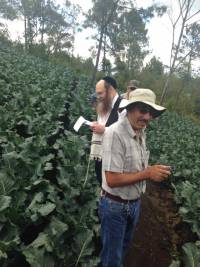 Gallery – Central Rabbinical Congress – CRC Kosher